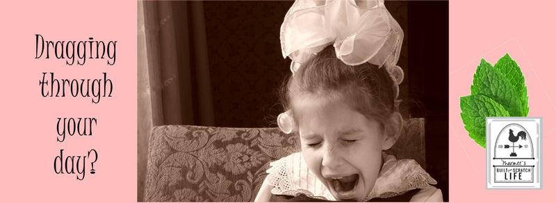 Dragging Through Your Day? – MarmeeDear & Co., LLC